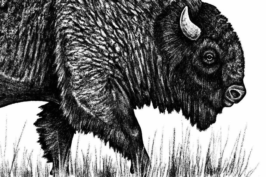 The Classic Procreate Illustration Brush Pack featuring Sam Larson ...