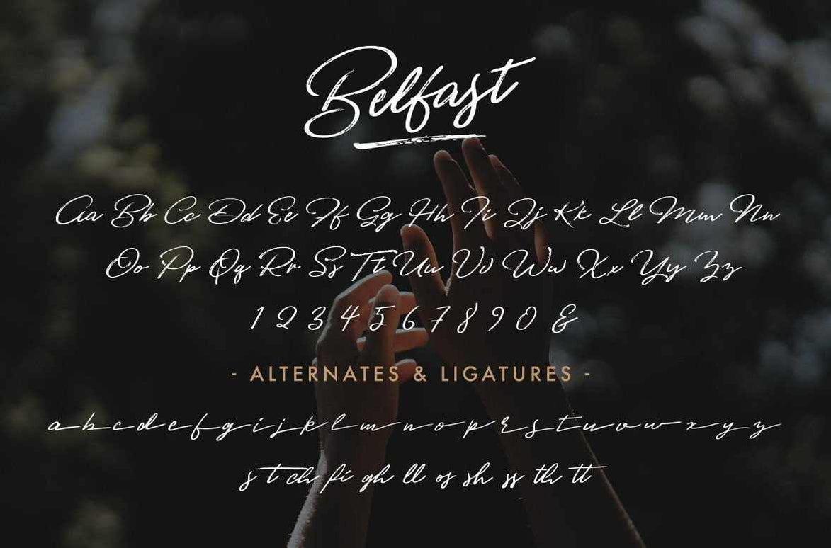 The Curiosities Font Collection | RetroSupply Co.
